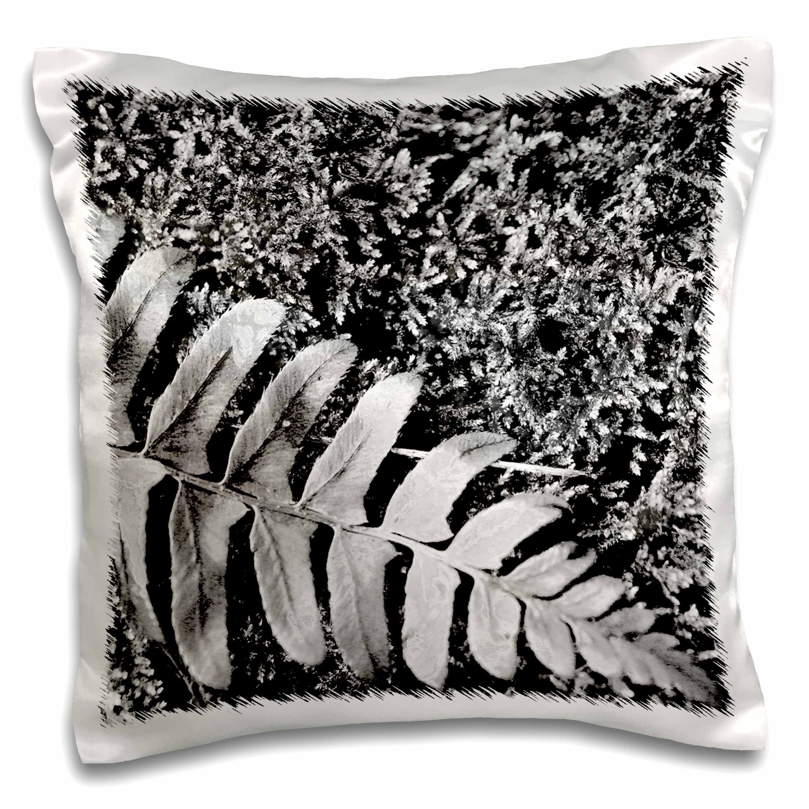 3drose, a Black and White Macro Photograph of a Fern Leaf Laying on ...