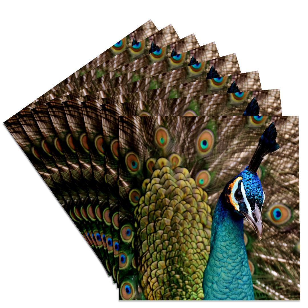3drose, a Close up of a Beautiful Colorful Peacock Front View, Set of 8 ...