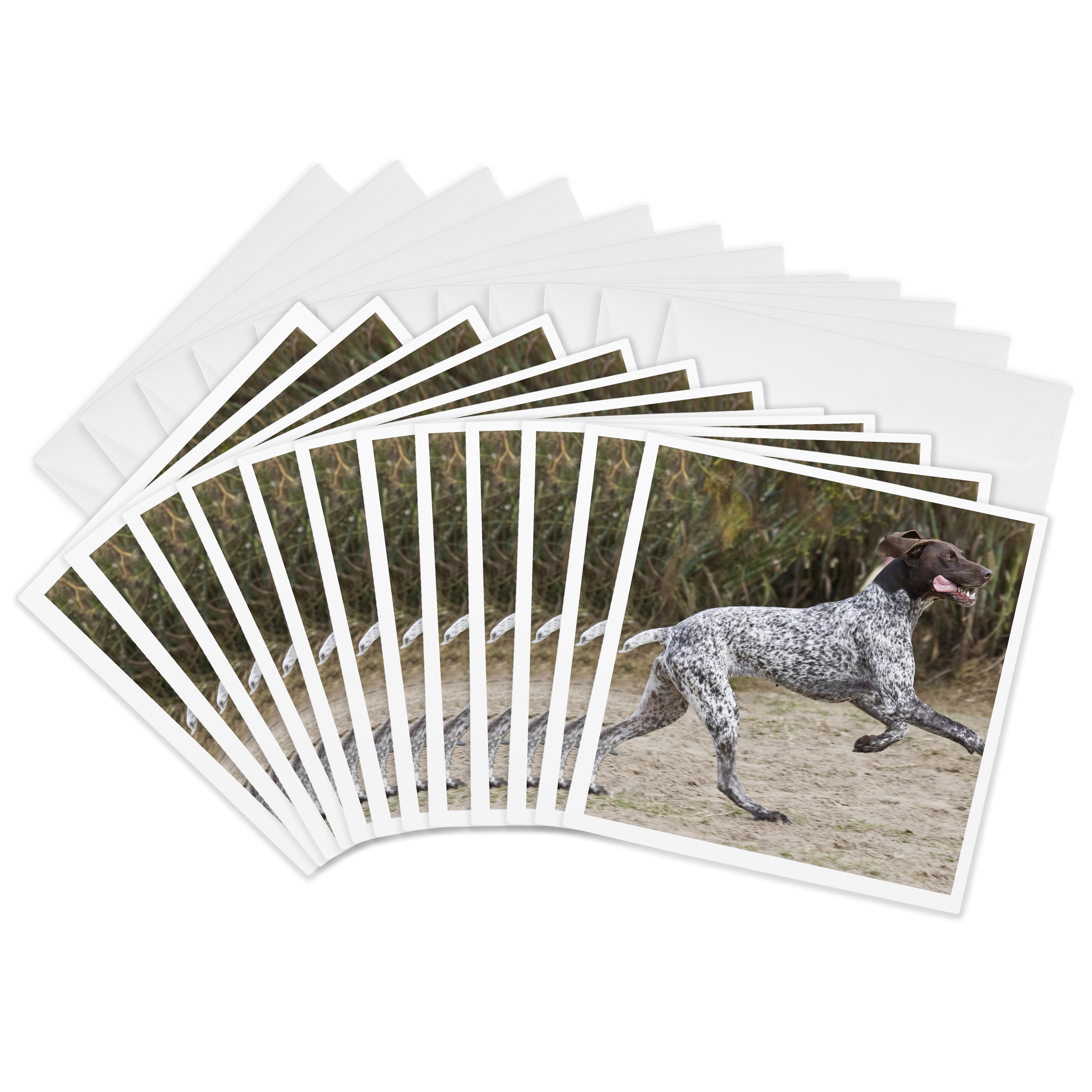 3drose, a German Shorthaired Pointer Dog Jumping - Na02 Zmu0116 ...