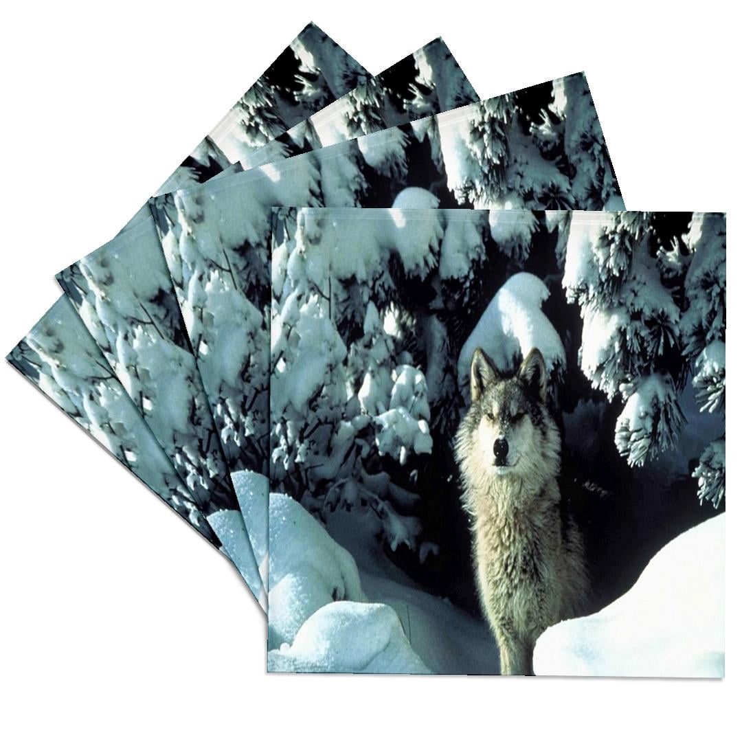 3drose, a Gray Wolf in the Snow, Set of 4 Ceramic Tile Coasters ...