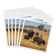 3drose, a Herd of Bison Make Their Way from One Pasture to Another., 6 ...