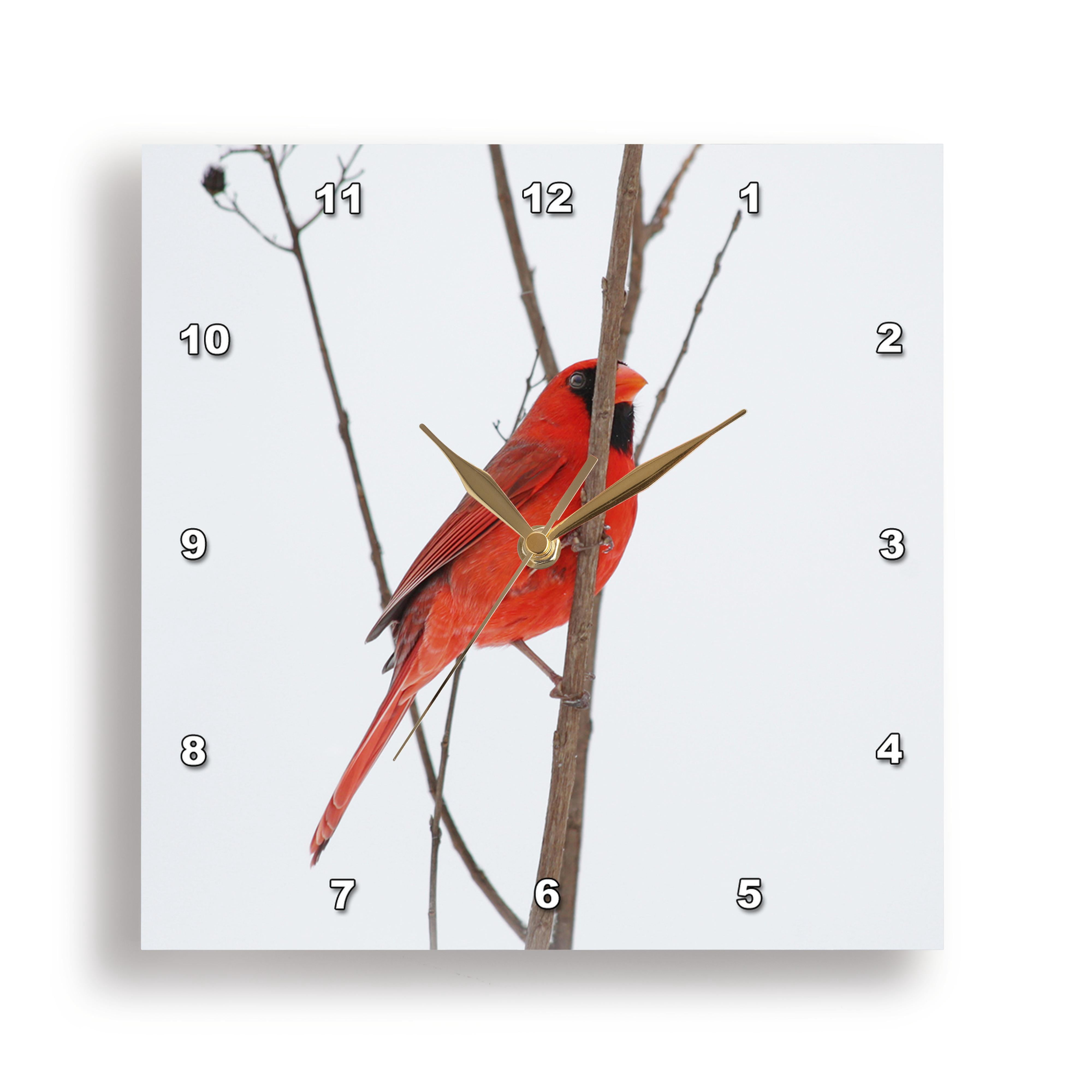 3drose, a Male Northern Cardinal Peeking Around a Branch on a Snowy Day ...