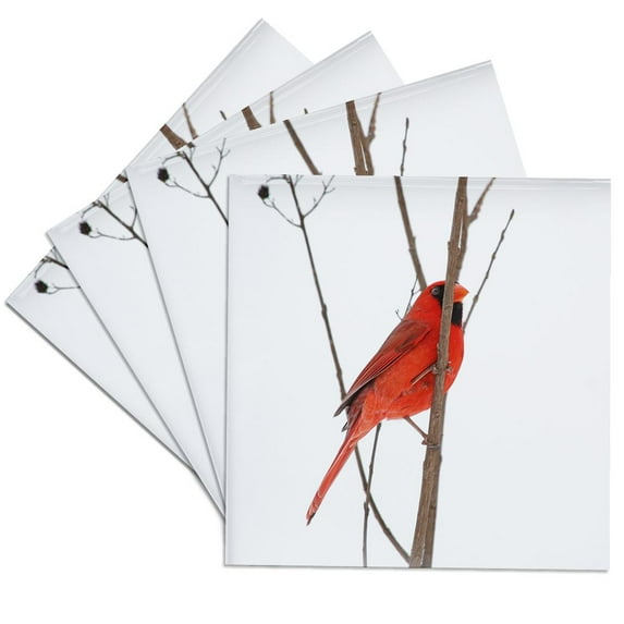 3drose, a Male Northern Cardinal Peeking Around a Branch on a Snowy Day ...