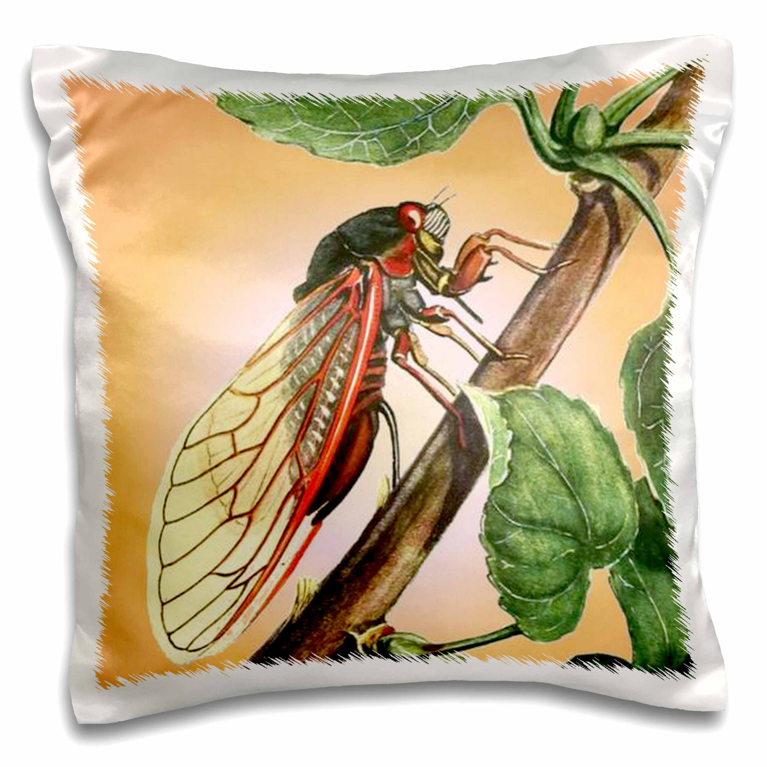 3drose, a Painting of a Cute Cicada Heard in Nature Throughout the ...
