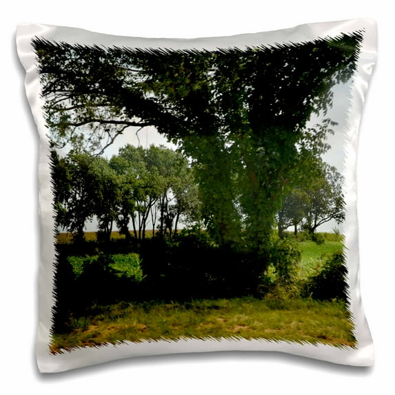 3drose, a Unique Tree That Is Covered with a Vine Called Kudzu, 16x16 ...