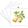 3drose, an Image of Two Yellow Apple-quince or Membrillo Fruits Kitchen ...