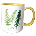 3drose, the Art of Three Fern Plants and Watercolor Paint Splatters ...