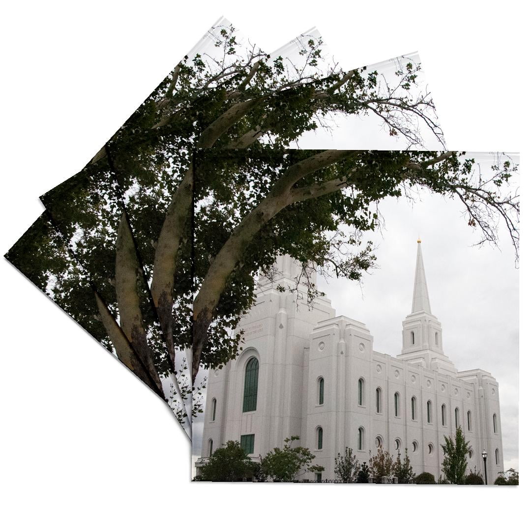 3drose, the Beautiful White Brigham City Temple Framed by a Tree, Set ...
