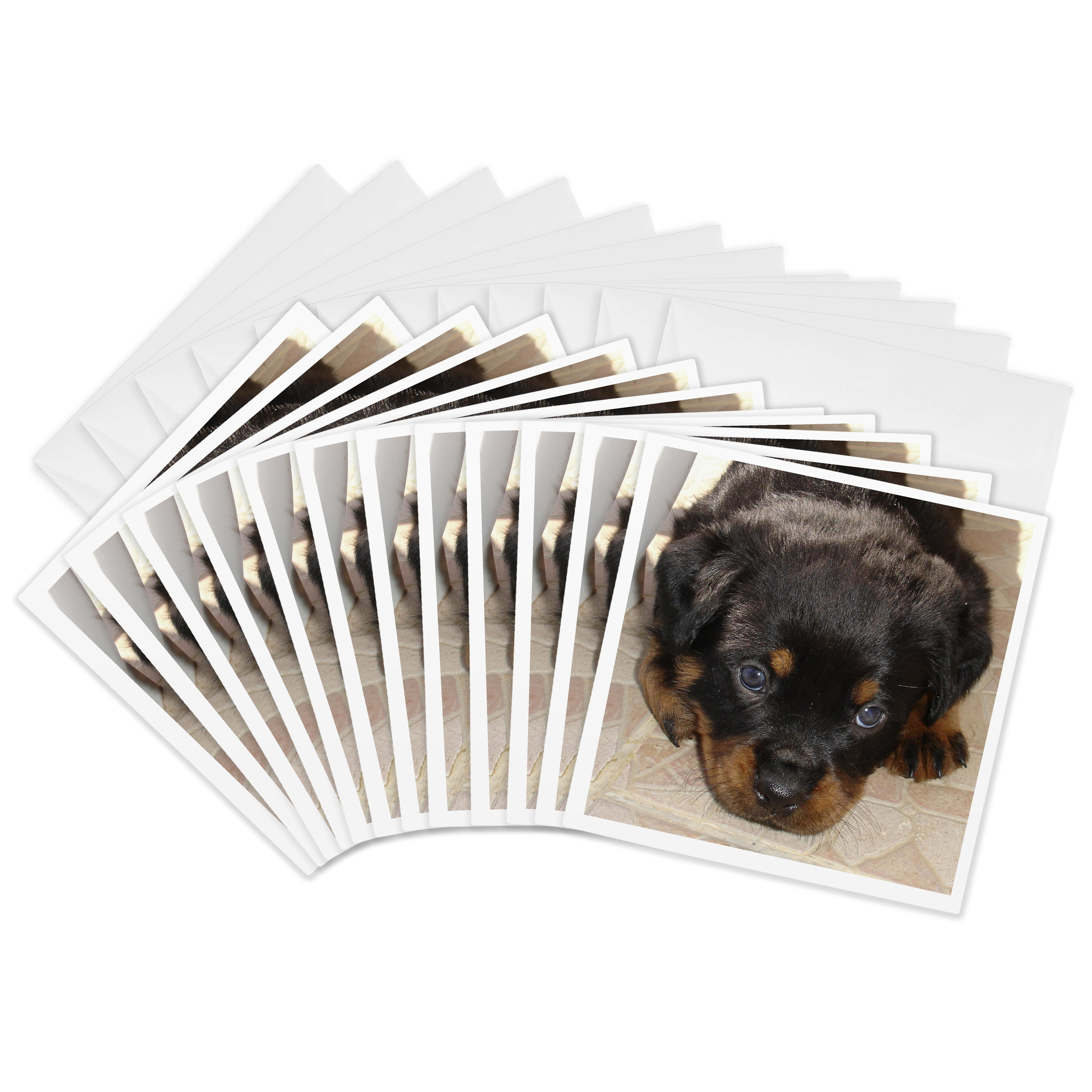 3drose, the Look - Rottweiler, Rottweilers, Rottie, Rottie Owner ...