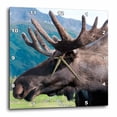 3drose, up Close and Personal with a Moose, Alaska Wildlife Center ...