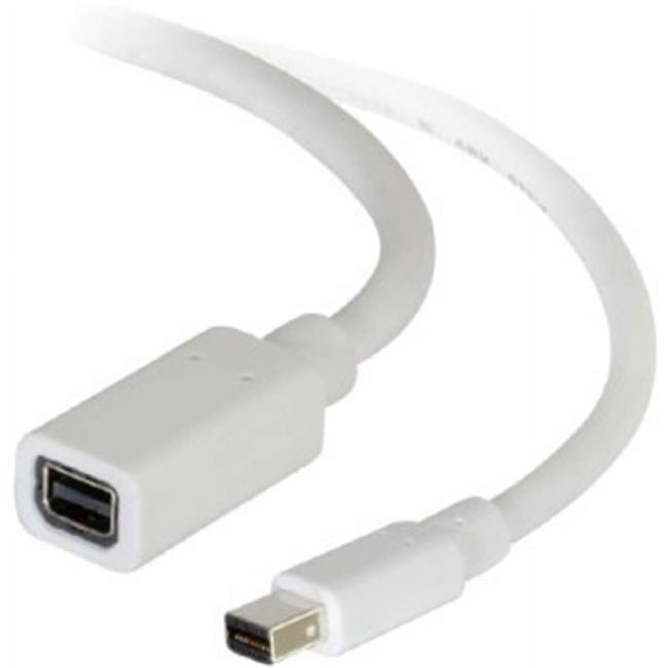 3ft Mini Displayport Cable M-f Wh - Walmart.com