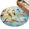 3ft Round Rug Colorful Birds Area Rugs for Living Room Bedroom Washable ...