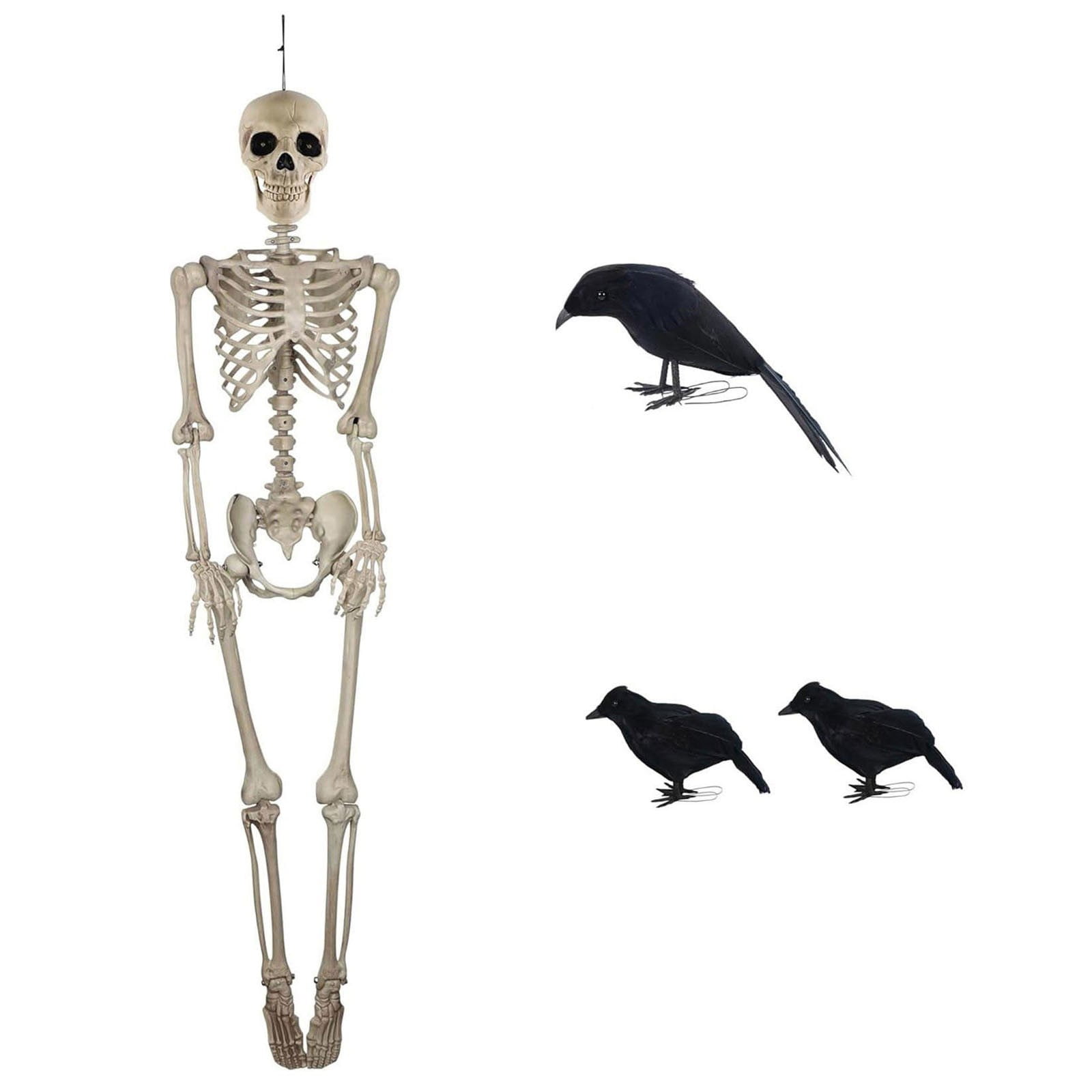 3ft Skeleton Life Size Halloween Decor with 3 Pcs Crows, Large Posable ...