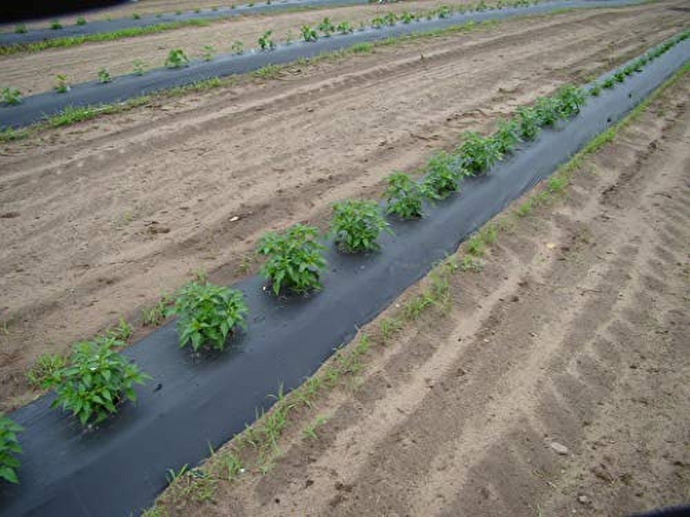 3ft x 4000ft x 1mil Black Embossed Plastic Mulch - Walmart.com