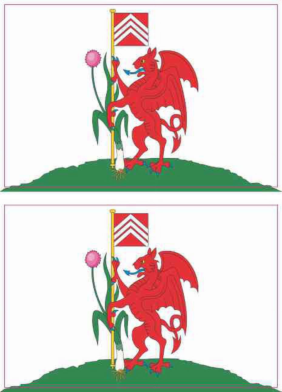 3in x 2in Cardiff Flag Magnets - Walmart.com