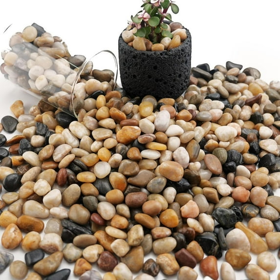 3lb River Rocks for Plants Indoor, 3/8 Inch Mixed Pebbles for Vase ...