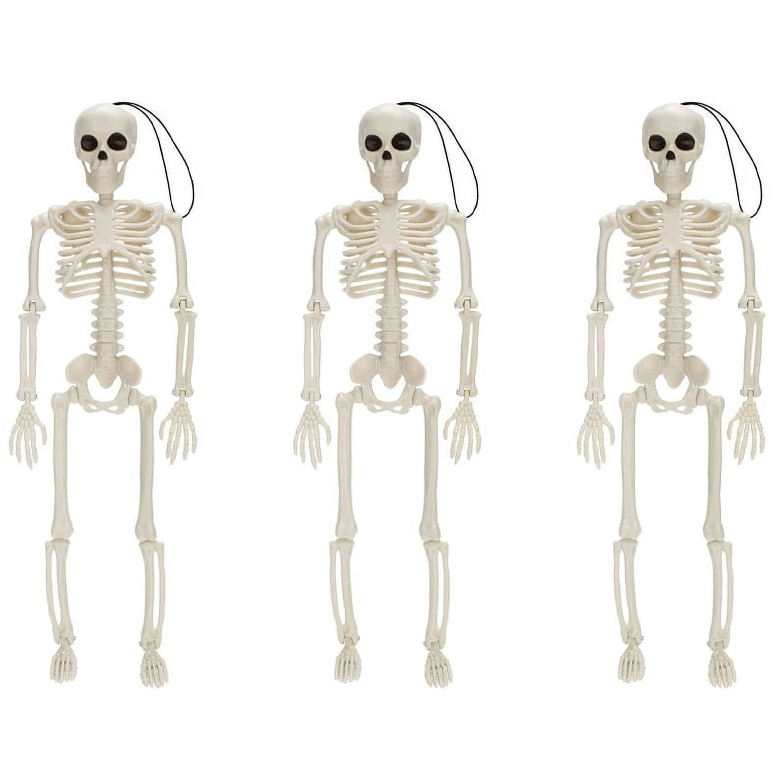 3pcs 40cm Poseable Full Human Skeleton Prop Halloween Decoration ...
