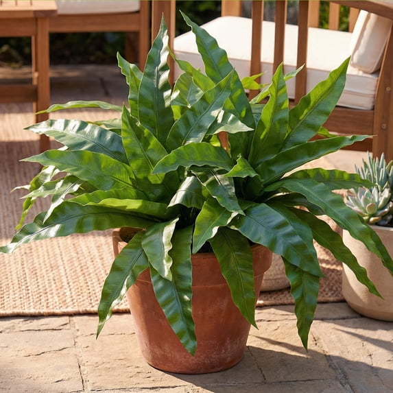 3pcs Artificial Bird's Nest Fern, 27.5" Wide Large Faux Fern Plants (45 ...