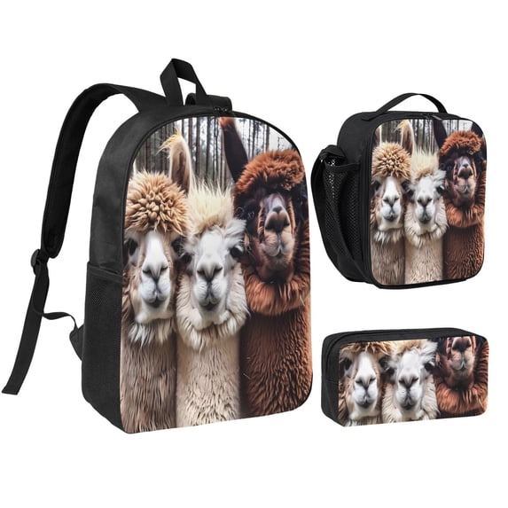 3pcs Casual Daypack 17 Inch Backpack Set Bookbag+Pencil Case+Lunch Bag ...