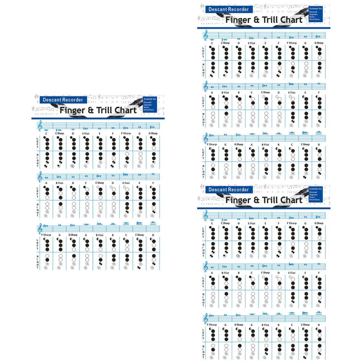 3pcs Flute Chord Chart Flute Practice Chord Chart for Beginner Students ...