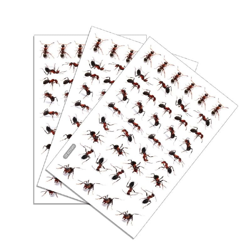 3pcs PVC Insect Decorations Wall Sticker Add a Spooky Touch to Your ...