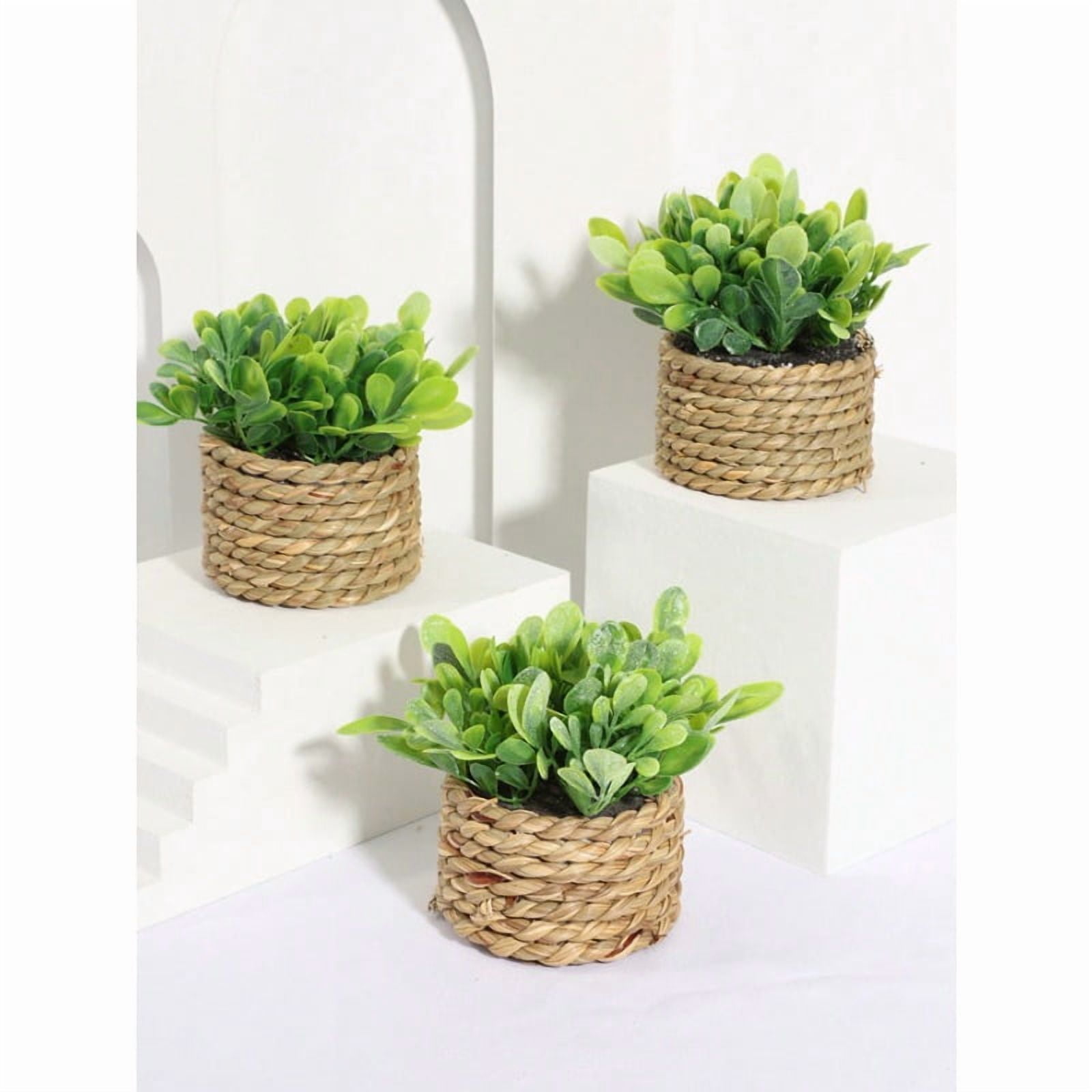 3pcs/Set Artificial Rattan Small Potted Plants, Seaweed Rope, Three ...