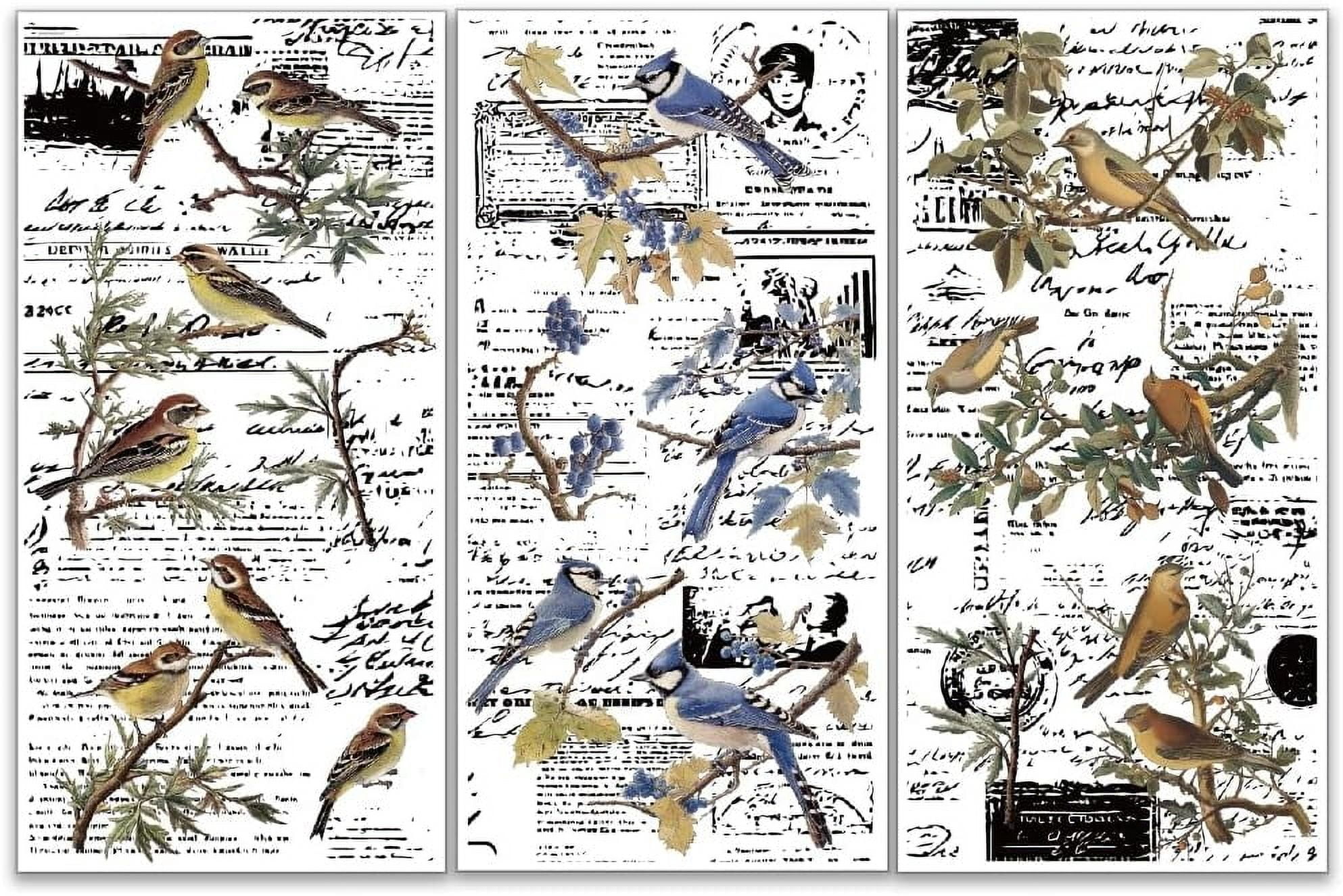 3pcs/Set Bird Stamp Rub on Transfers for Furniture and Crafts 6x12 inch ...