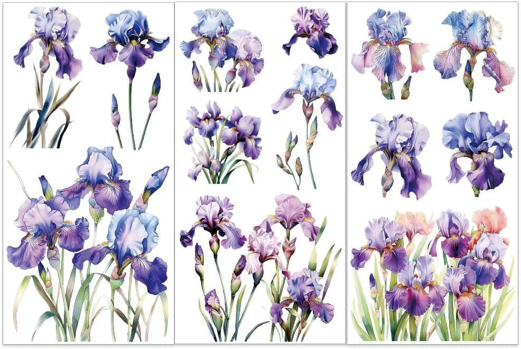 3pcs/Set Iris Rub on Transfers for Furniture and Crafts 6x12 inch ...
