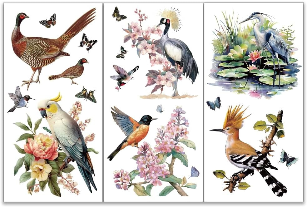 3pcs/Set Rare Birds Rub on Transfers for Furniture and Crafts 6x12 inch ...