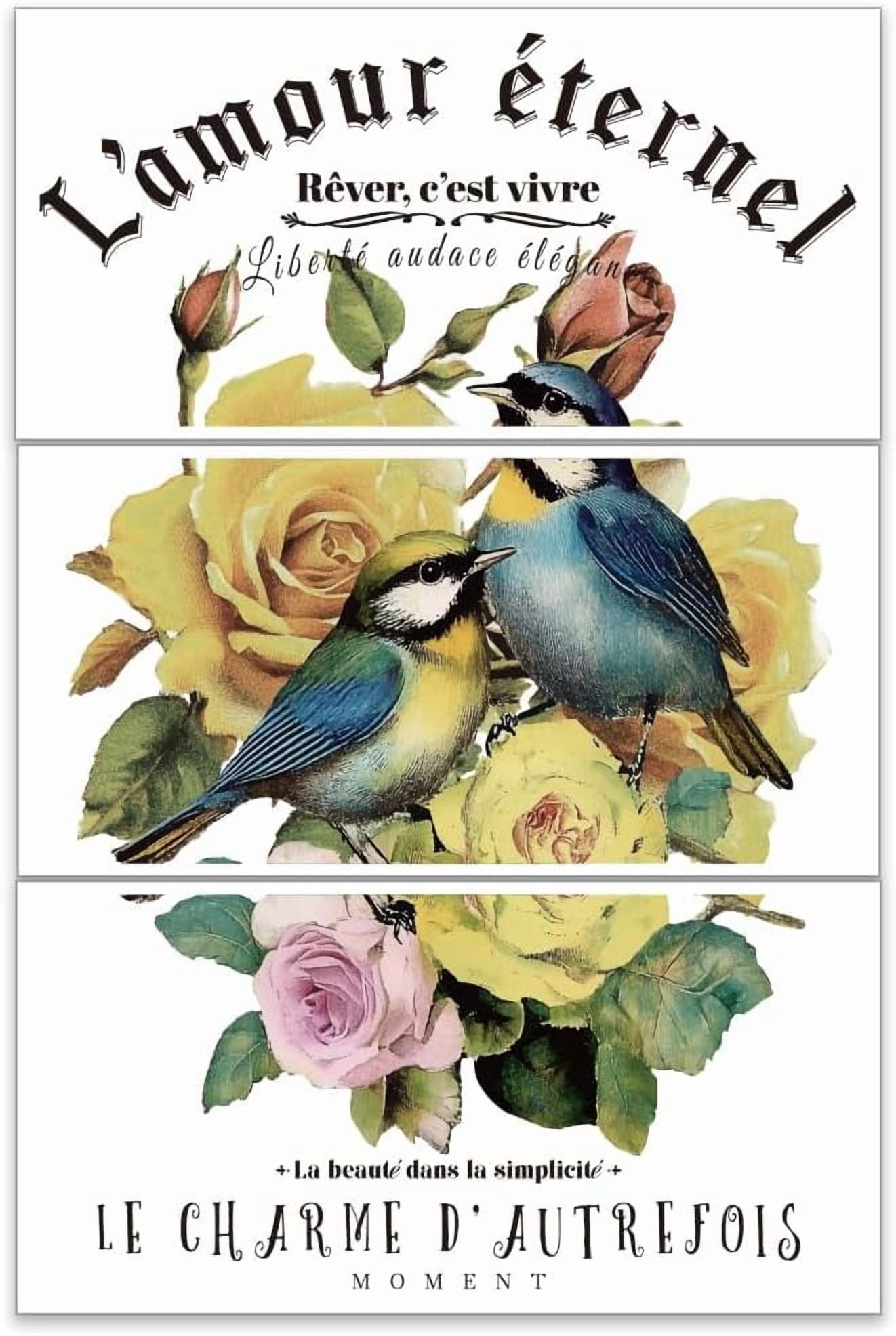 3pcs/Set Rose Bird Rub on Transfers for DIY Furniture and Crafts 6x12 ...