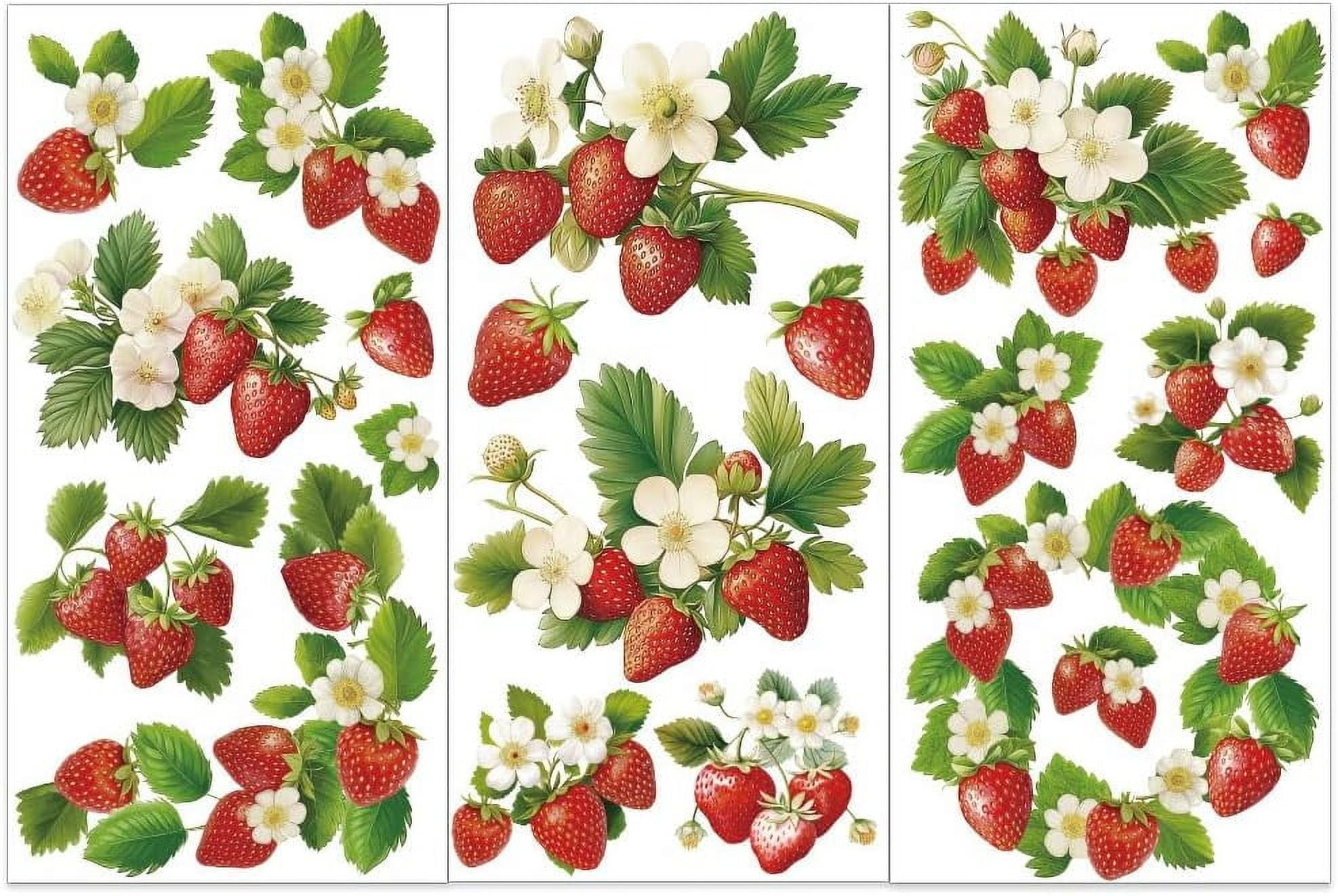 3pcs/Set Strawberry Rub on Transfers for Furniture and Crafts 6x12 inch ...