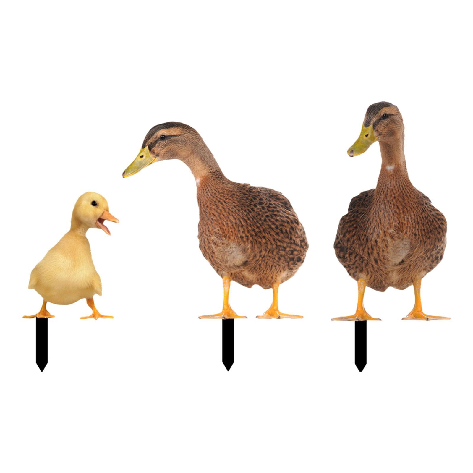 3x Animals Duck Statue Stakes, Garden Poultry Statue Sign, Garden Decor ...