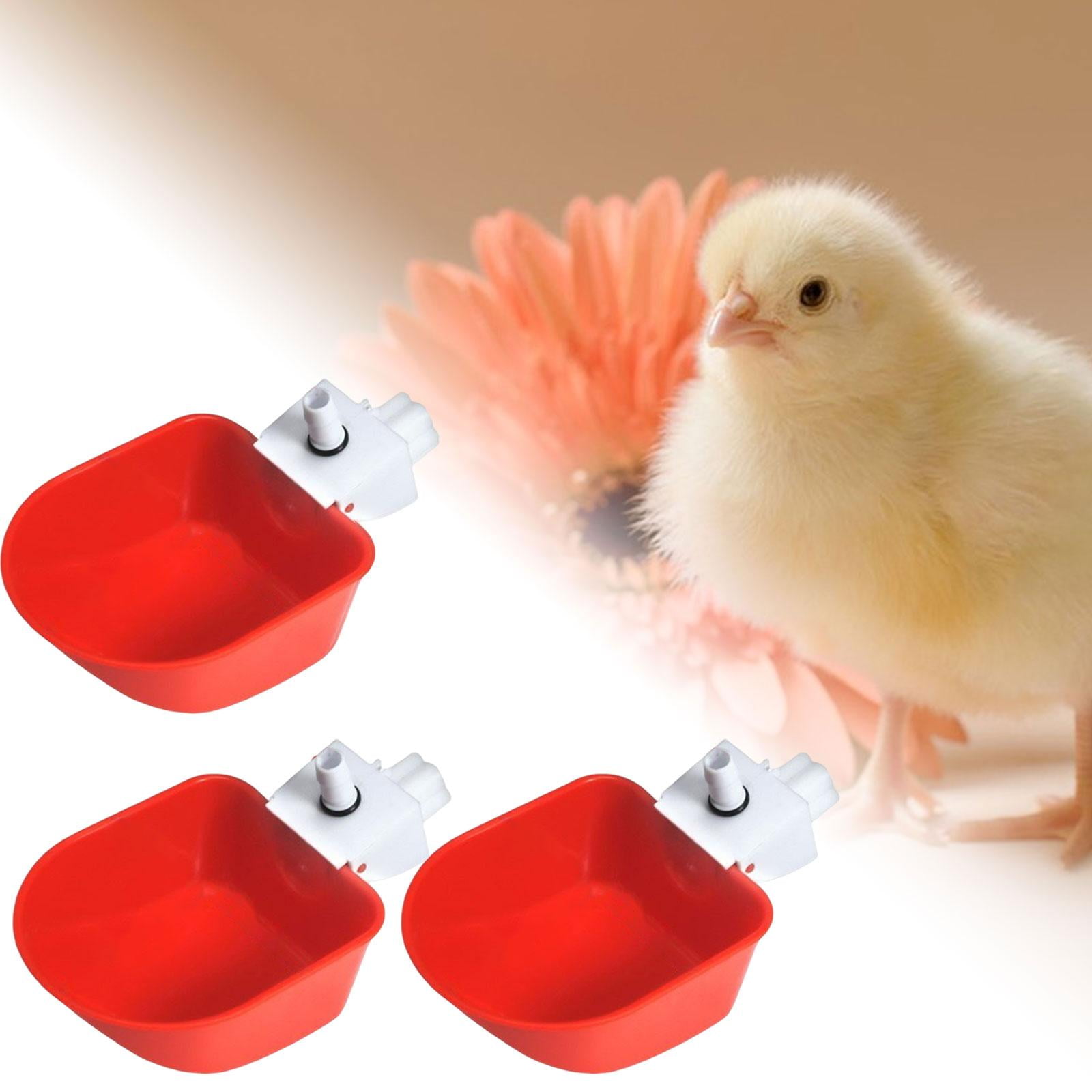 3x Automatic Chicken Drinkers Waterers Cups Drinking Bowls Dispenser ...