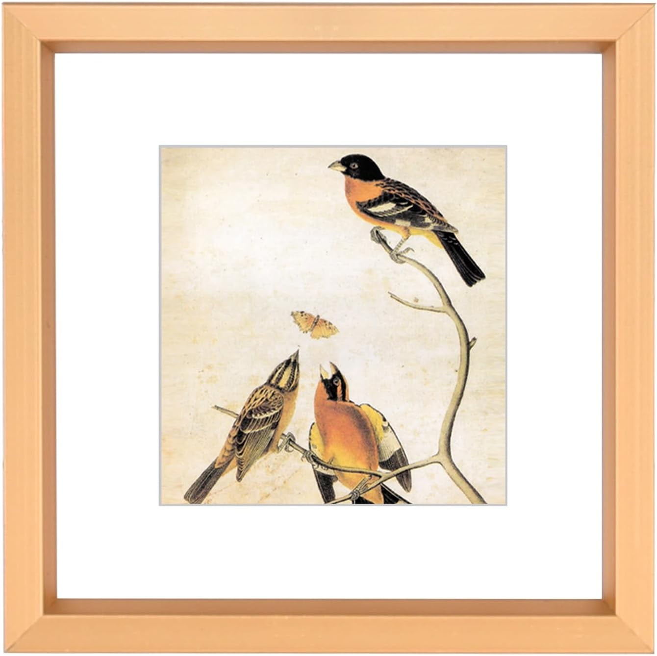 3x3 Picture Frame, Gold Metal Square Photo Frames with HD Glass, Fits ...