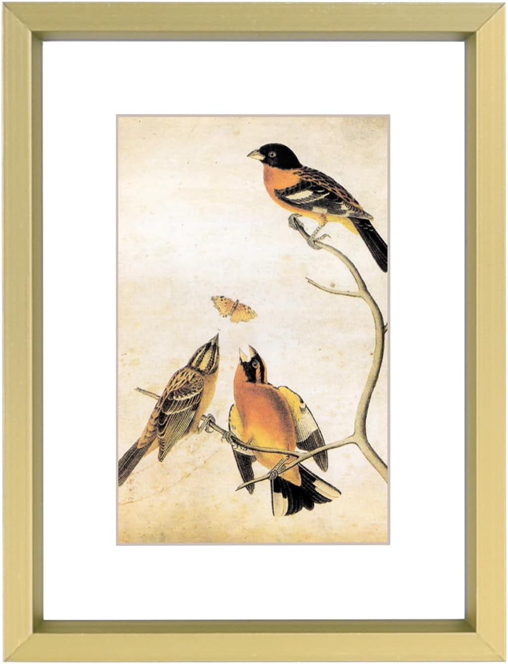 3x4 Picture Frame, Brass Metal Photo Frames with HD Glass, Fits 2x3 ...