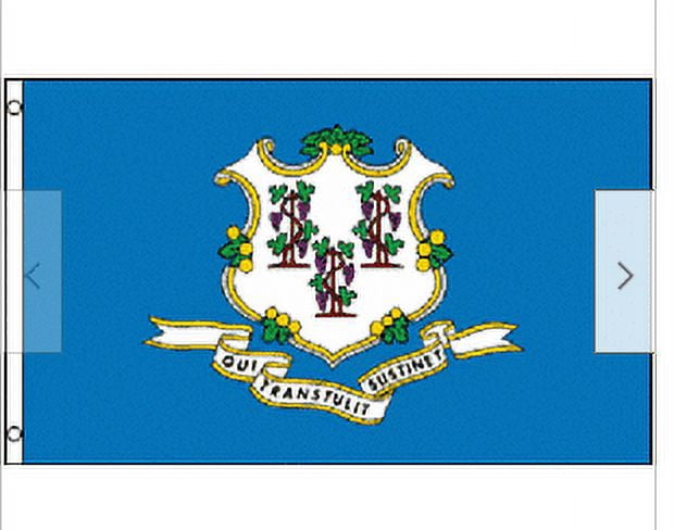 3x5 Connecticut Flag 3'x5' House Banner grommets super polyester ...