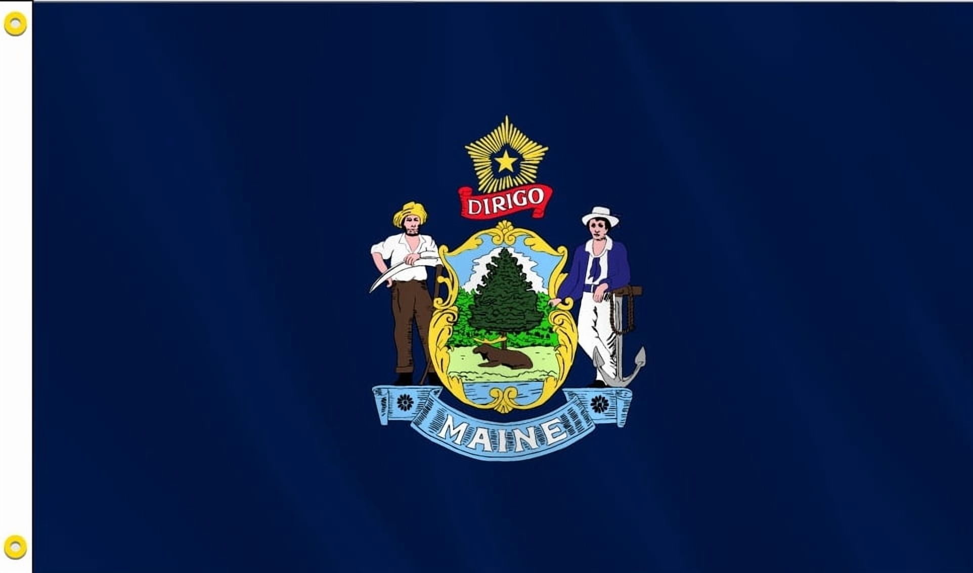 3x5 Foot (90x150 cm) Maine State Polyester Indoor/Outdoor Flag ...