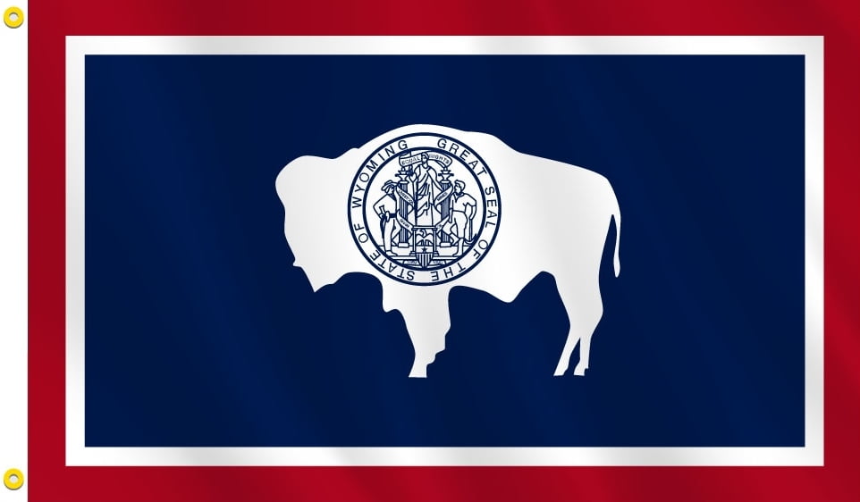 3x5 Foot (90x150 cm) Wyoming State Polyester Indoor/Outdoor Flag ...
