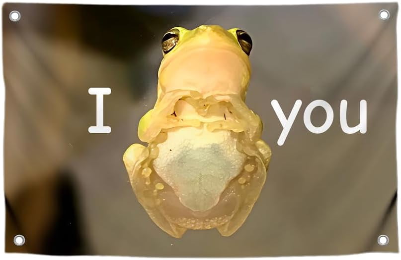 3x5 Ft Cute Flag with Picture Frog and Inscription I Llove You with ...