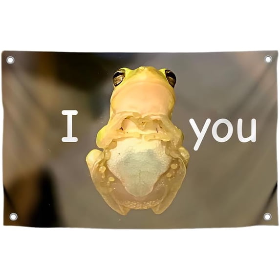 3x5 Ft Cute Flag with Picture Frog and Inscription I Llove You with ...