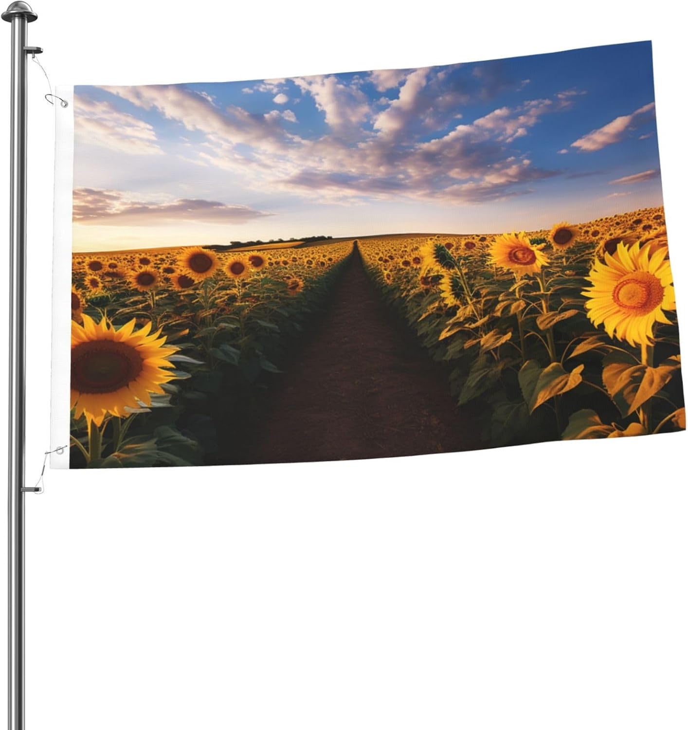 3x5 ft Flags Flag Outside Yard Flag Field of Blooming Sunflowers Funny ...