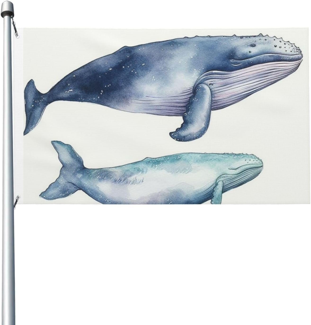 3x5 ft Outside Large Banner Blue Humpback Whale Garden Flag House Flag ...