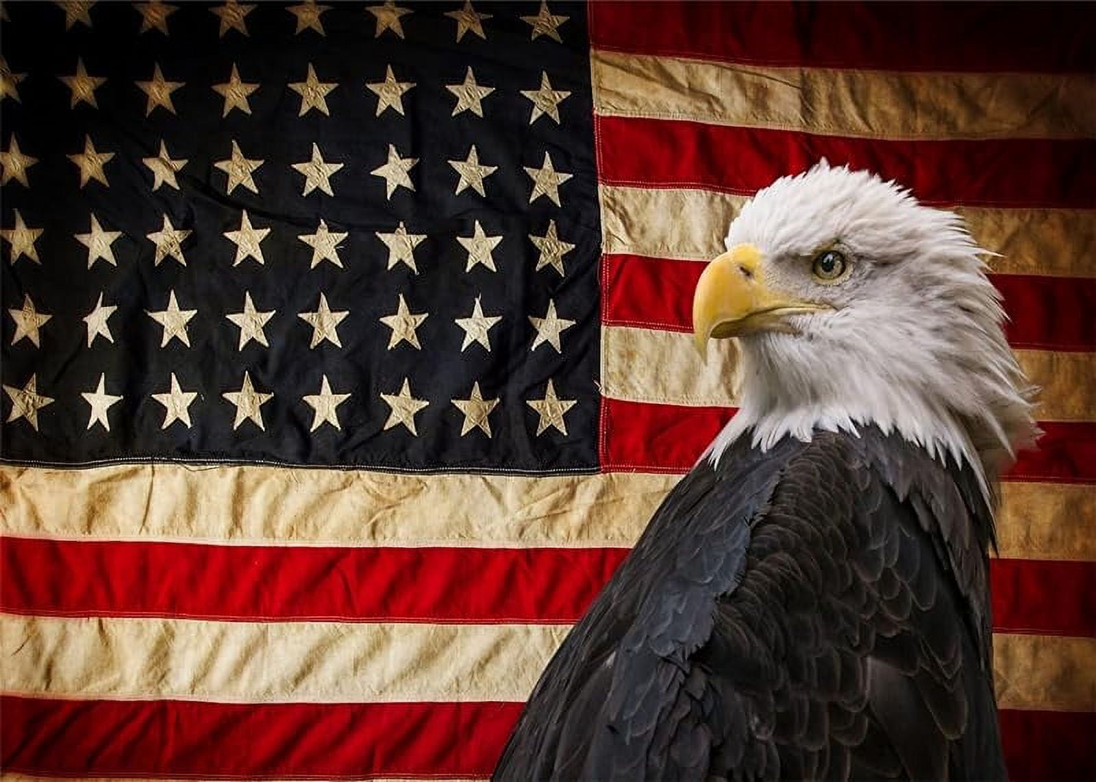 3x5ft American Flag Photography Backdrop Bald Eagle Background 4th of ...