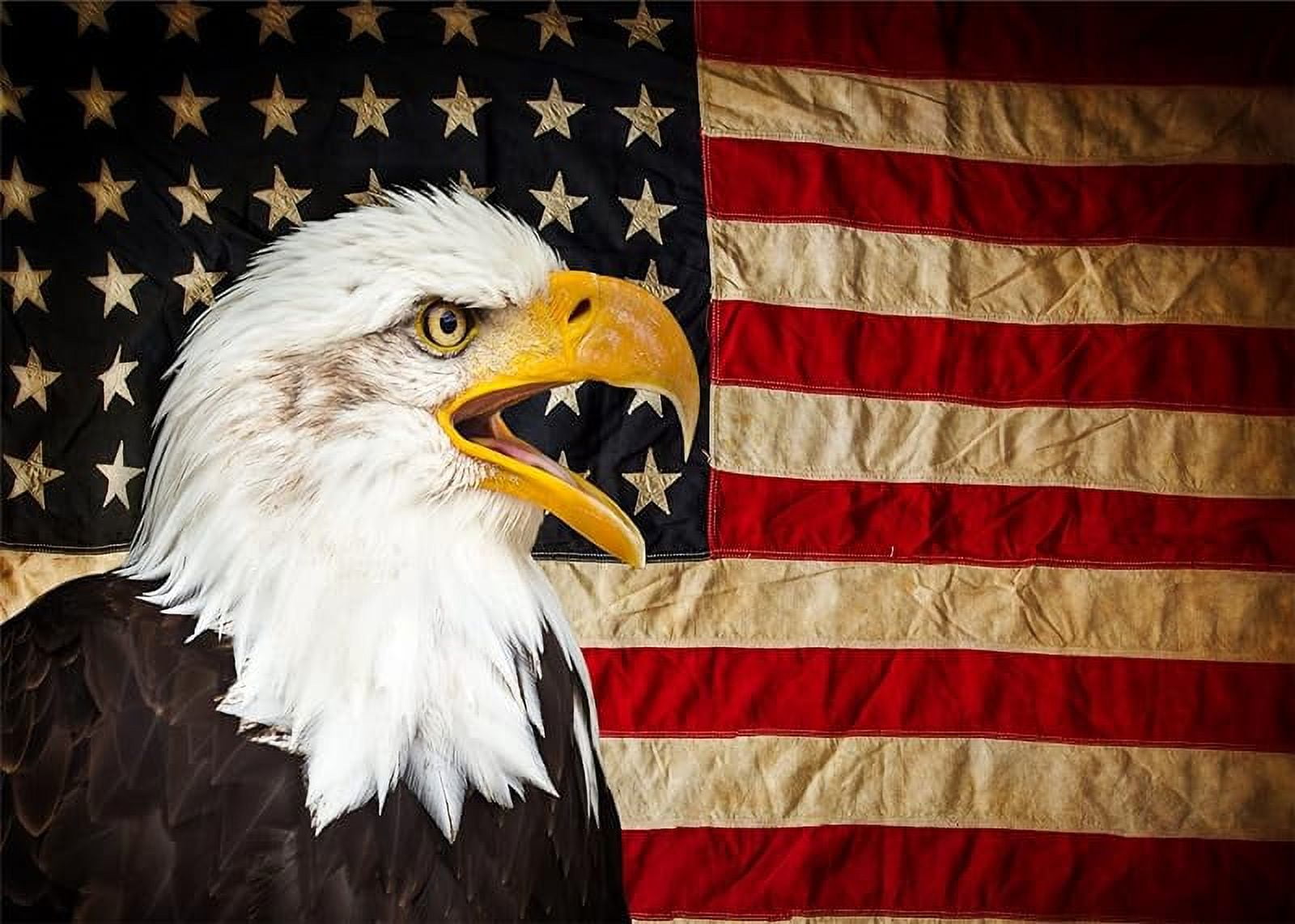 3x5ft American Flag Photography Backdrop Bald Eagle Background 4th of ...
