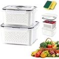 4 In 1 Storage Containers with , Fruit Storage Containers for Fridge ...