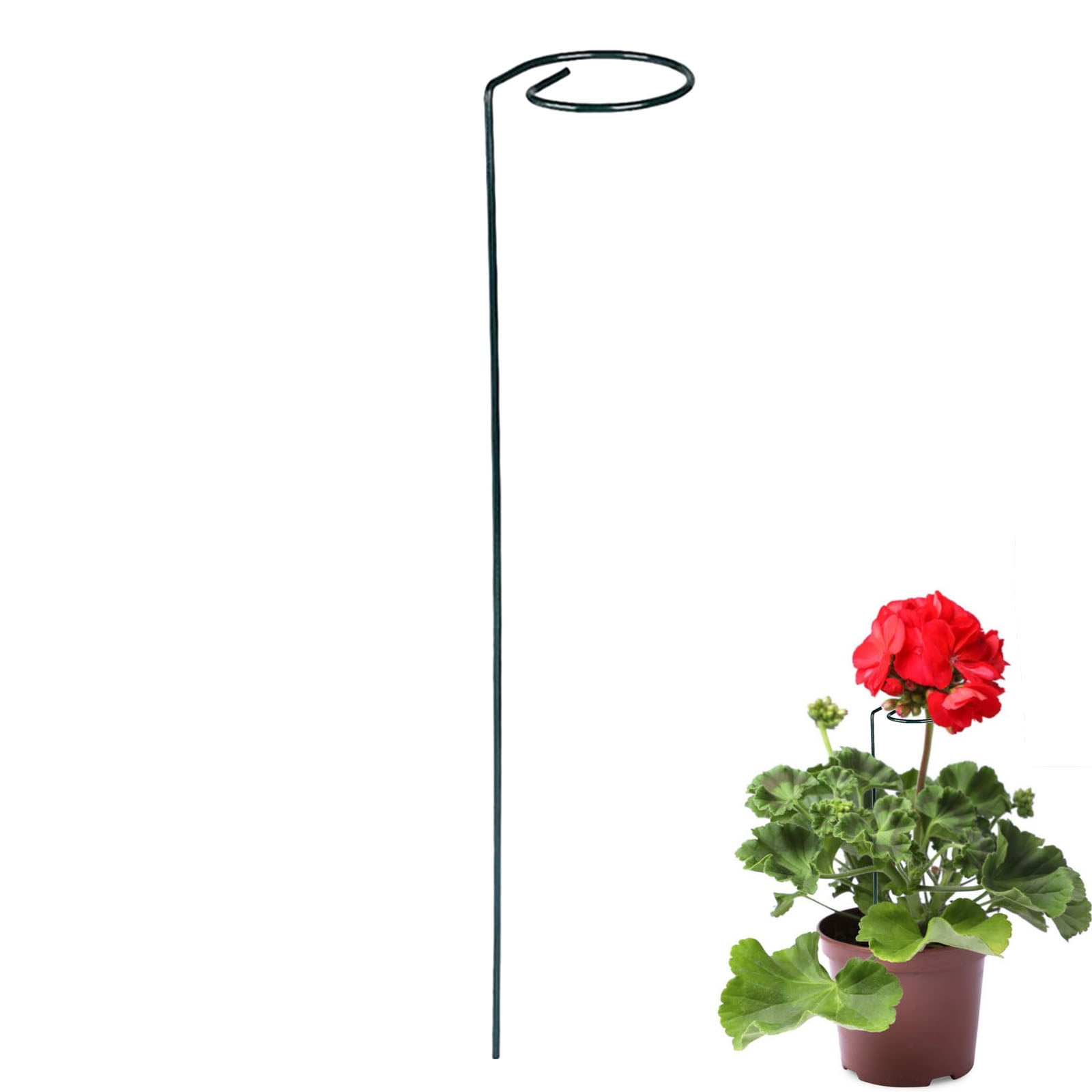 4/3/2/1pcs Plant Supports Stakes, Metal Monstera Plant Support Stakes ...