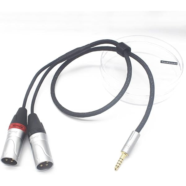 4.4mm to Dual XLR Male Balanced Headphone Audio Headphone Adapter 10 Core Silver Plated Cable ...
