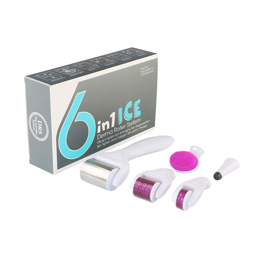 4/5/6 Microneedle Derma Roller Kit for Face Eye Body 300/720/1200 ...