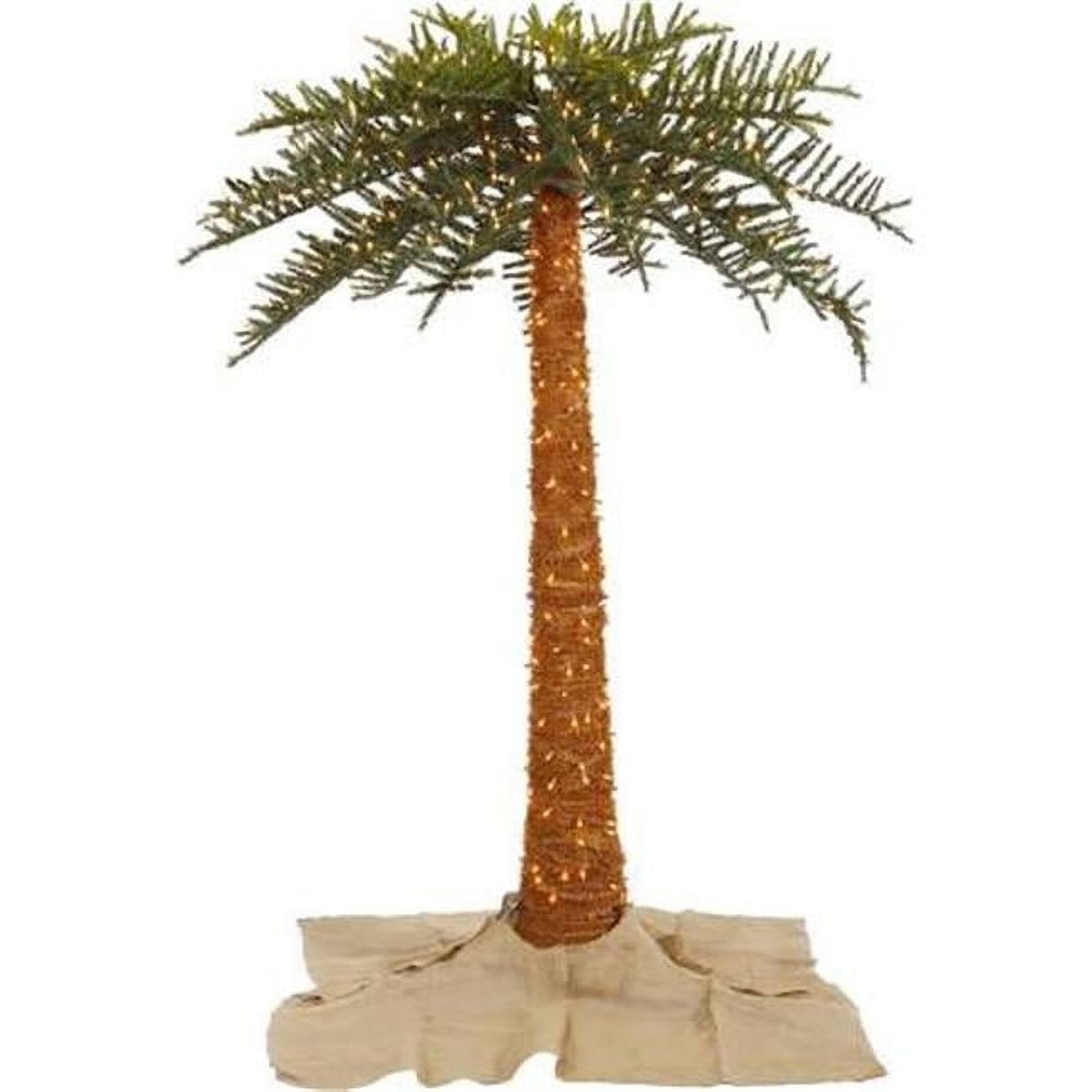 4-5-6' Potted Outdoor Palm Trees 500CL - Walmart.com