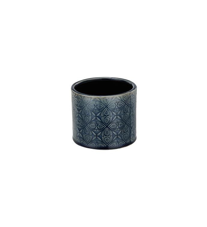 4.5" Gray/Blue Laser Cylinder Plant - Walmart.com